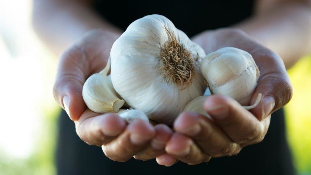 Rituales con ajo para atraer la protección y abundancia | MamasLatinas.com