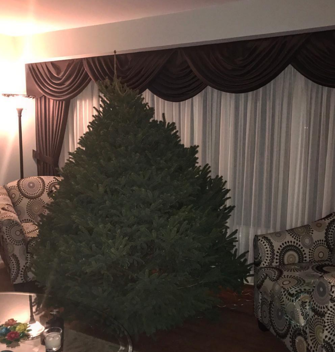 The worst Christmas tree fails ever (PHOTOS) | MamasLatinas.com