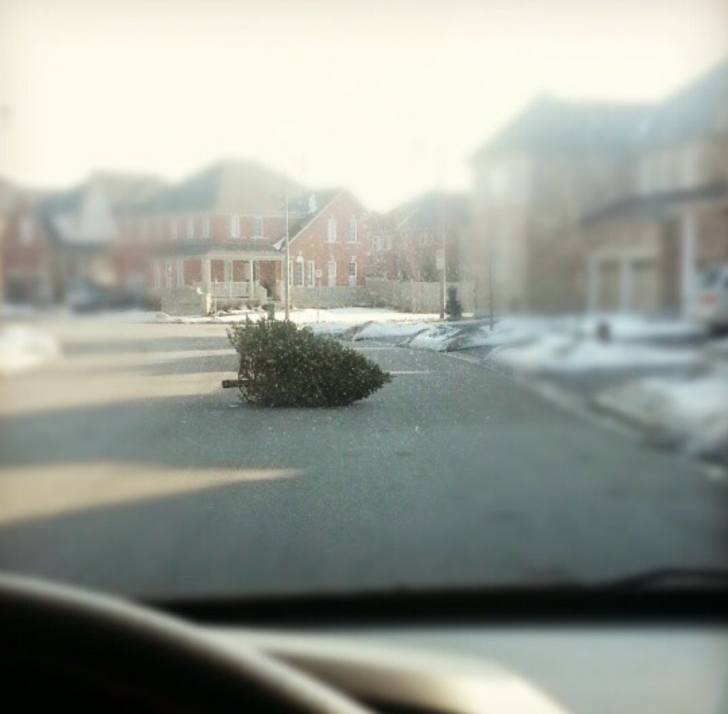 The worst Christmas tree fails ever (PHOTOS) | MamasLatinas.com