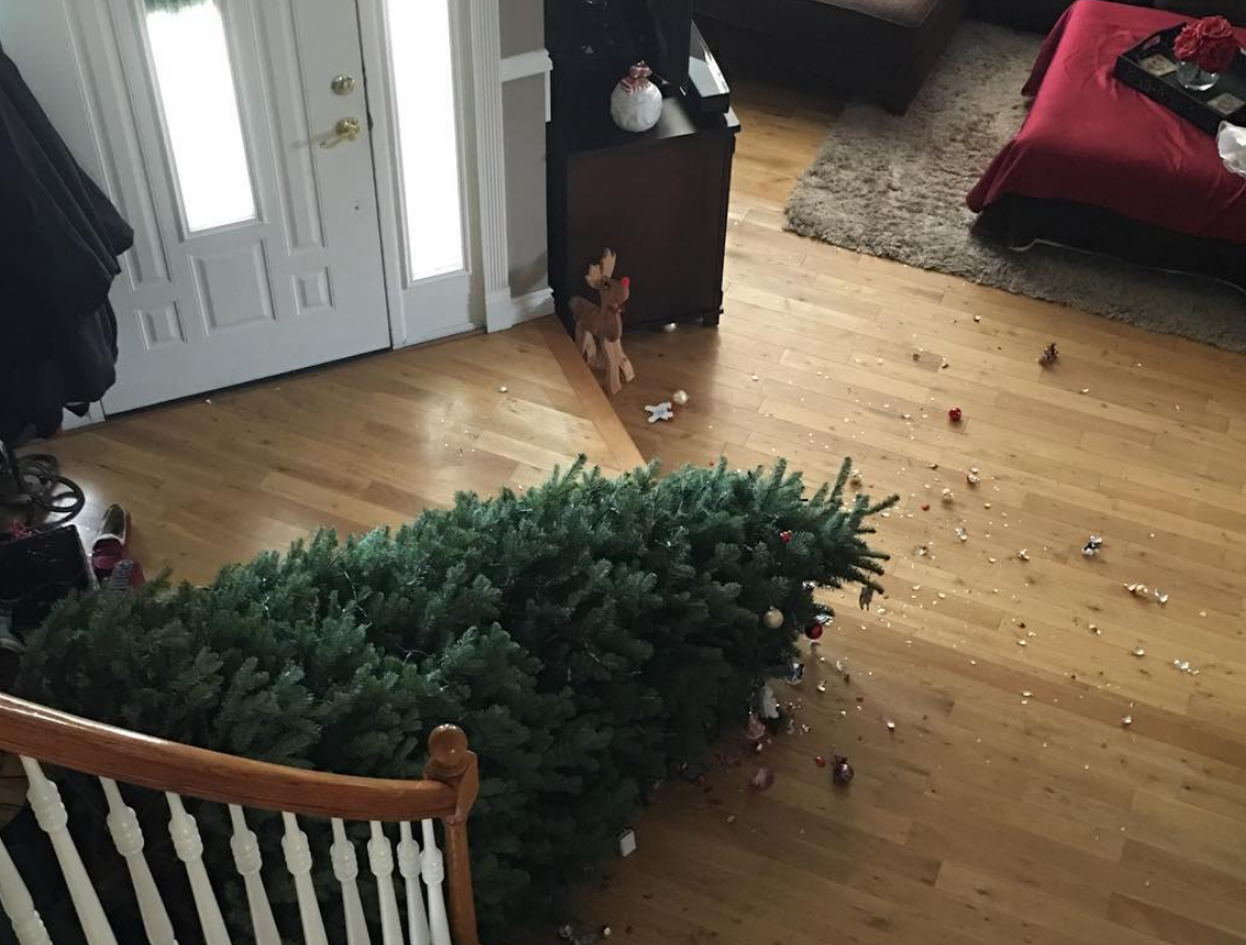 The worst Christmas tree fails ever (PHOTOS) | MamasLatinas.com