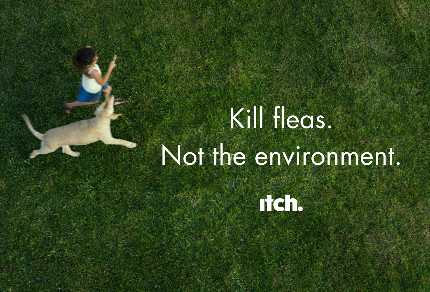 What to do after applying flea treatment - Itch Pet | Itch Pet