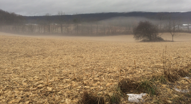 How to Deal with Cool, Wet Soils in No-Till | Bayer