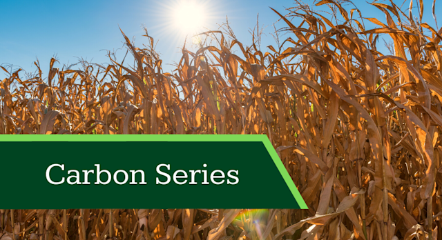 Understanding Additionality in the Carbon Market | Bayer