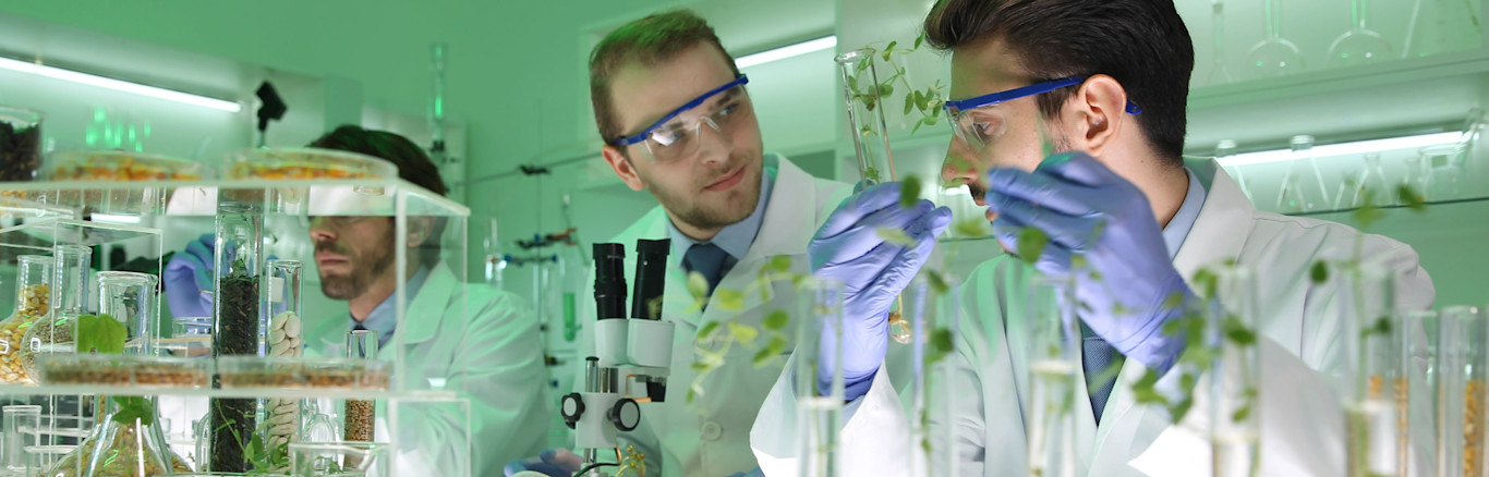 Study Food Science Abroad | IDP Indonesia