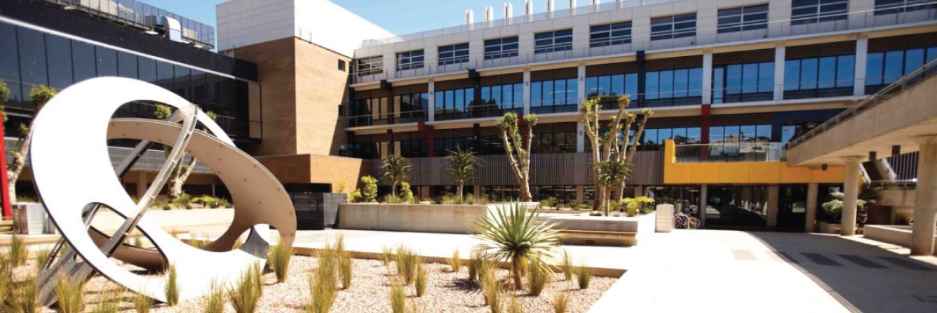 Studying In Deakin University