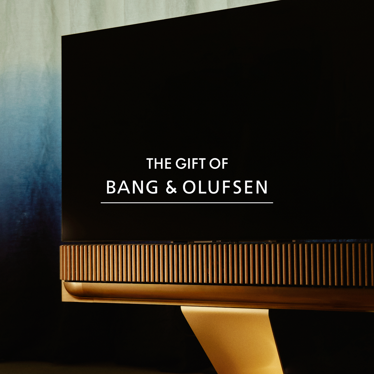 Official Bang & Olufsen Headphones Accessories