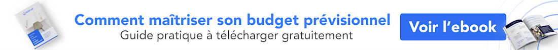 Budget prévisionnel : définition, méthode, modèle Excel | Agicap