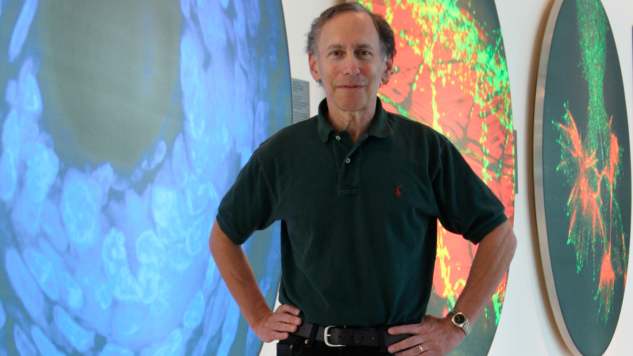 Professor Robert Langer: Sådan bliver danske forskere mere succesfulde ...