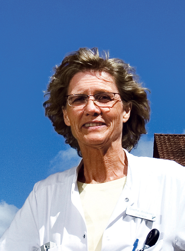 Grethe Andersen modtager Lægeforeningens ærespris - Dagens Medicin