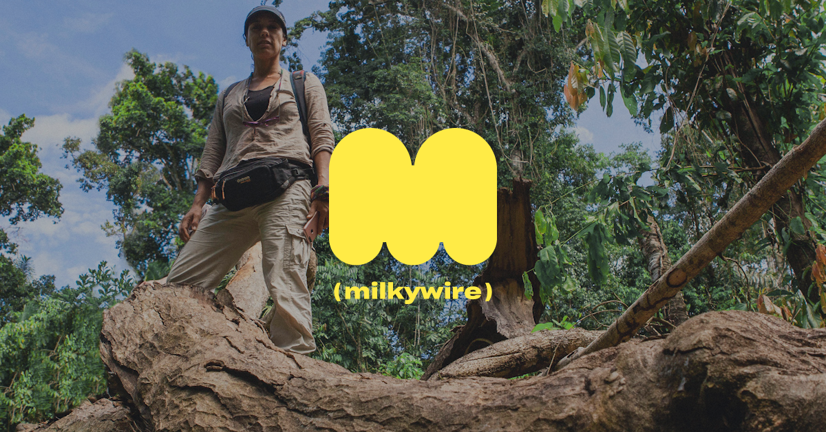 Milkywire – Donate now to protect our planet