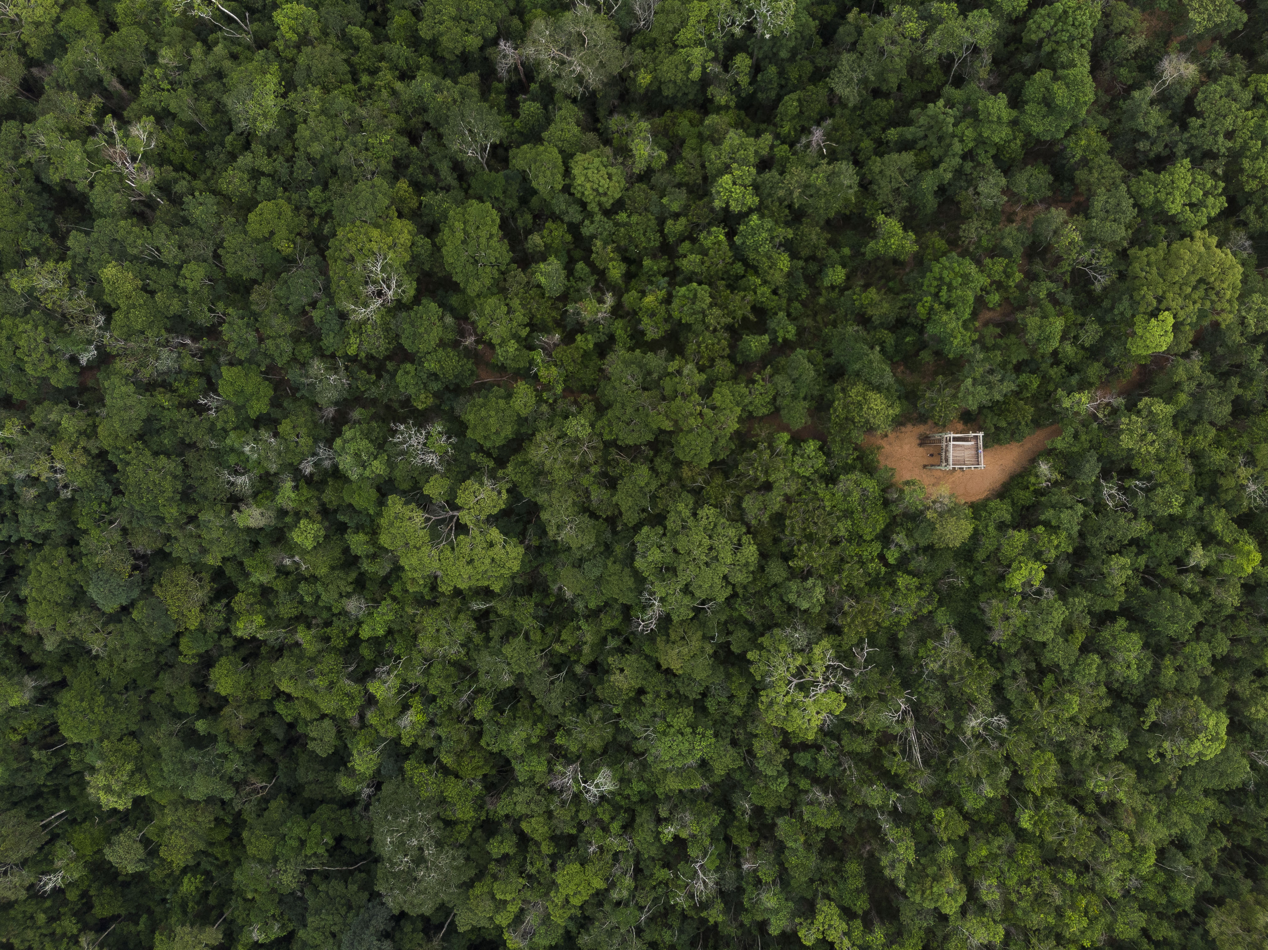 Leading Solutions for Climate and Nature Action