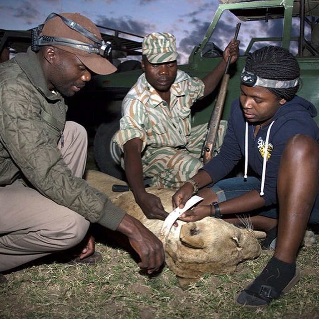 Milkywire – Take action for the planet