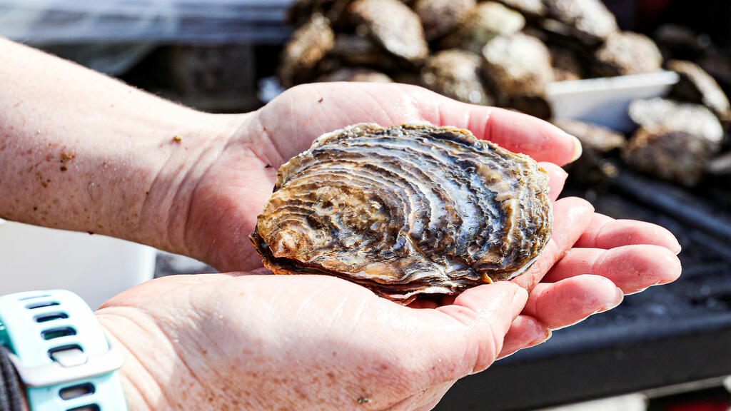 Milkywire – Donate now to protect our planet