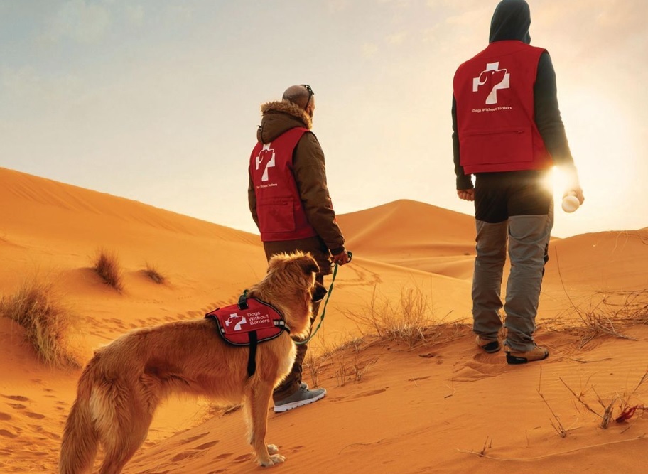 The 2023 Good Track Grand Prix Winners | Inspiration | THE WORK