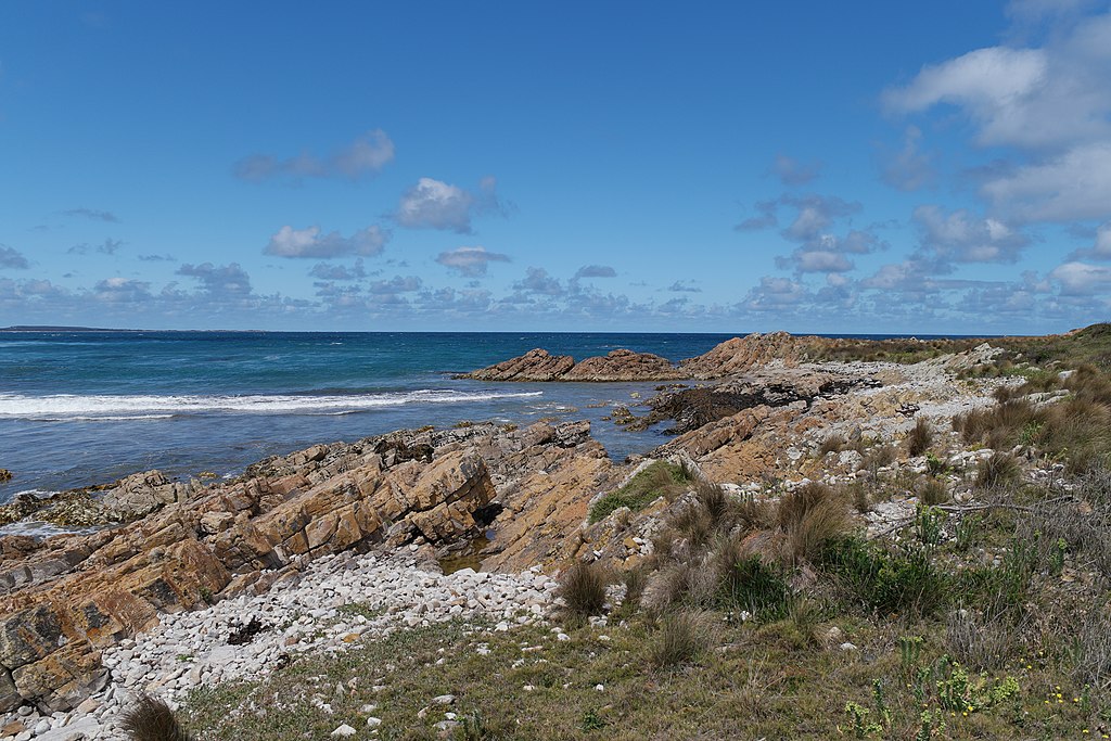 Case Study 3: Arthur-Pieman Conservation Area, Tasmania | Ngarrngga