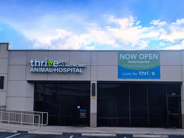 Veterinarian San Antonio TX | Thrive Pet Healthcare Broadway