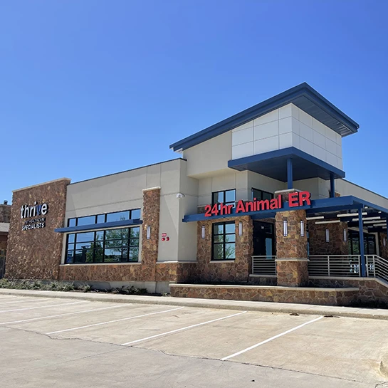 24/7 ER Vet Mansfield | Thrive Mansfield