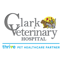 Clark Veterinary Hospital | Thrive Pet Healthcare