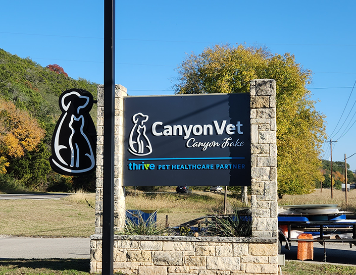 Canyon Vet Canyon Lake | Veterinary care Canyon Lake Texas