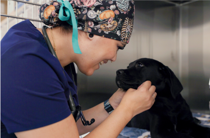 Thrive Pet Healthcare