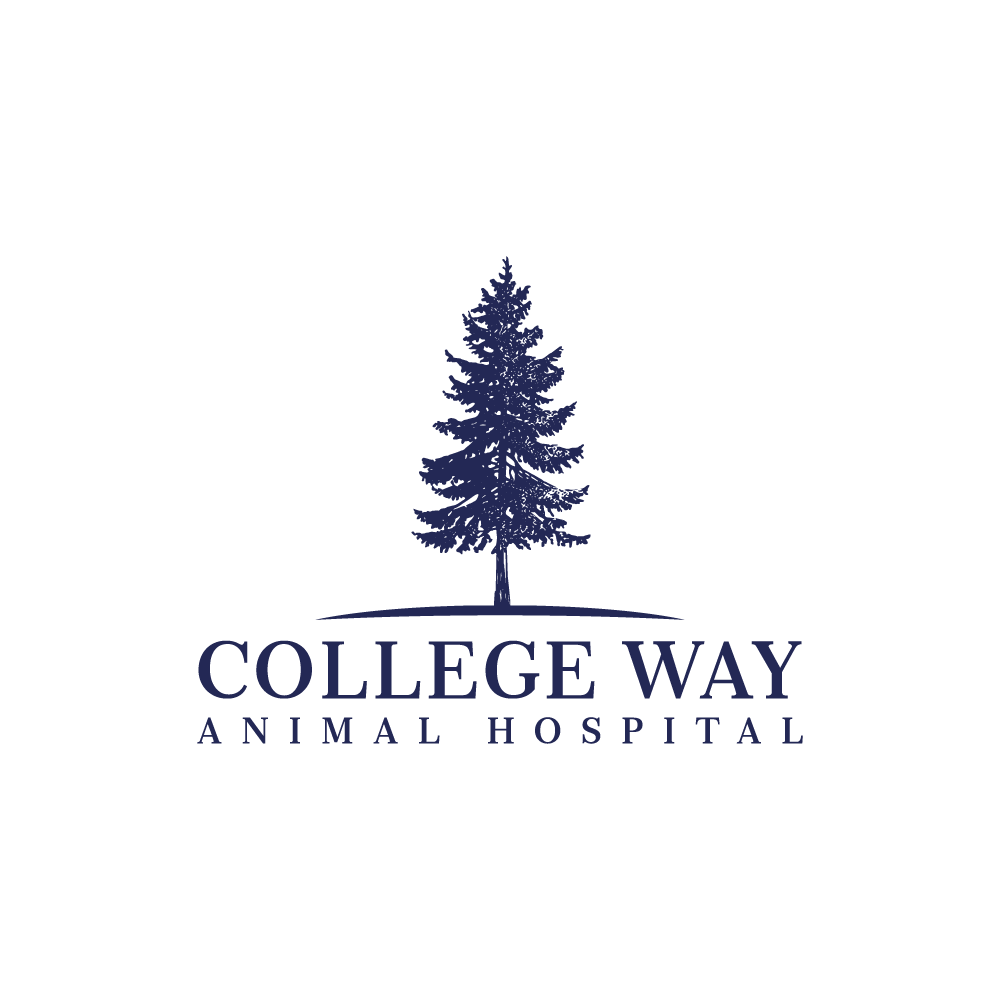 College Way Animal Hospital | Thrive Pet Healthcare