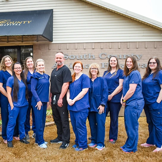 South County Animal Hospital | Vet Care Greenwood Arkansas