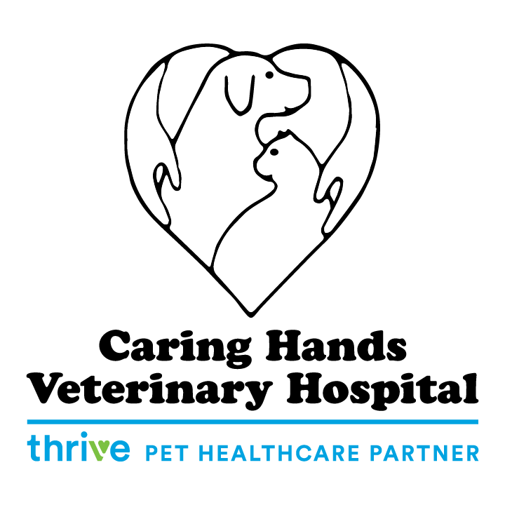 Veterinarian Thousand Oaks, CA | Caring Hands