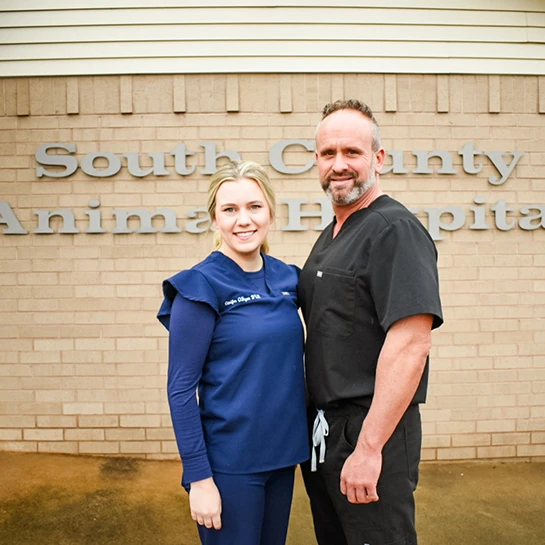 South County Animal Hospital | Vet Care Greenwood Arkansas