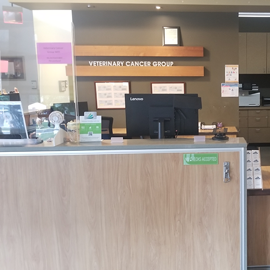 Veterinary Oncology Los Angeles | Veterinary Cancer Group LA