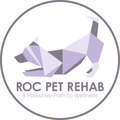 ROC Pet Rehab | ThrivePet Veterinary Care Center