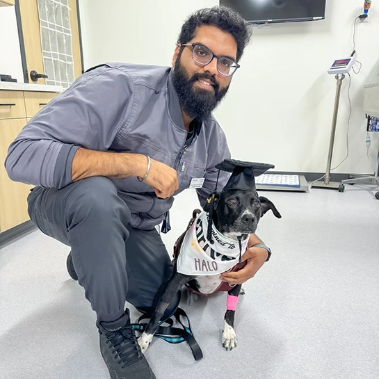 24/7 ER Vet Mansfield | Thrive Mansfield