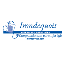 Irondequoit Animal Hospital | Thrive Pet Healthcare