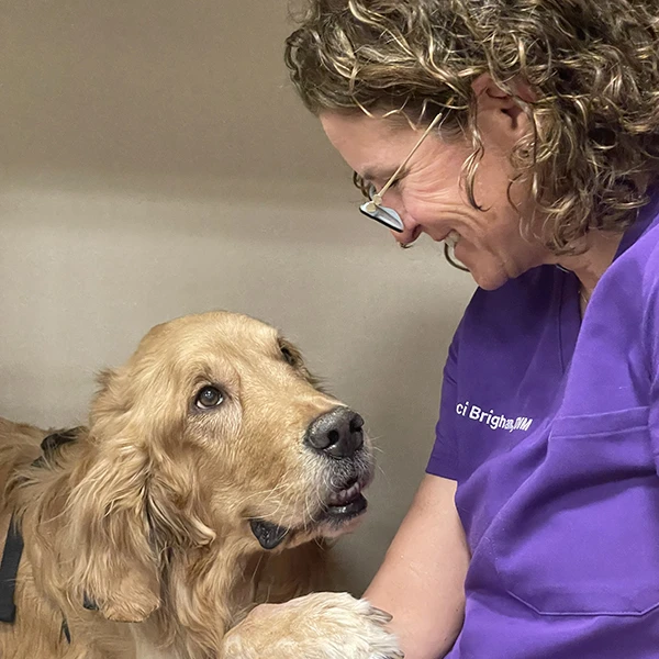 24/7 Emergency Vet Scottsdale | Thrive Pet Healthcare