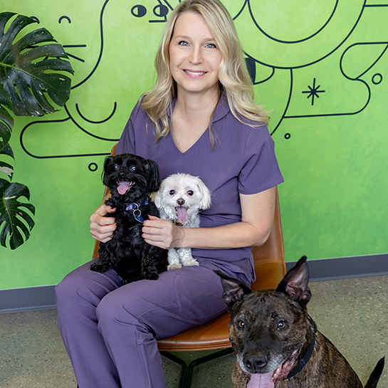 Prairie State Veterinary Clinic | Thrive Pet Healthcare