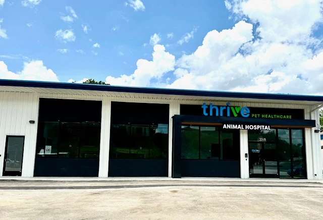 Veterinarian in South Lamar | Thrive Pet Healthcare