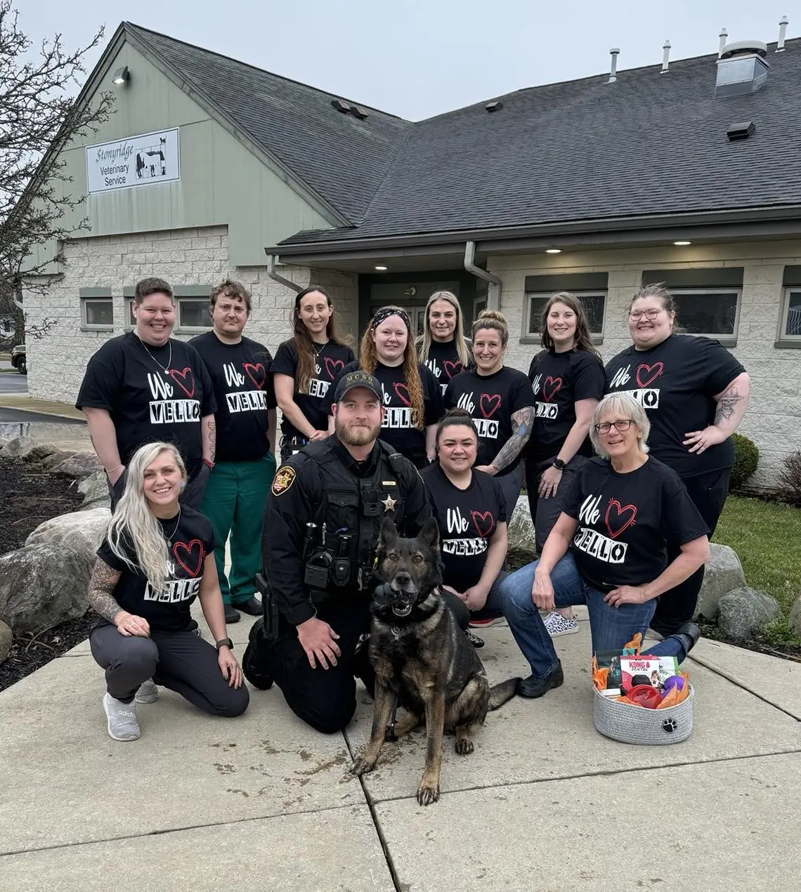 Honoring K-9 Veterans: A Salute to Brave Service