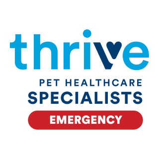 24/7 Emergency Vet Miami | Thrive Pet Healthcare Specialists