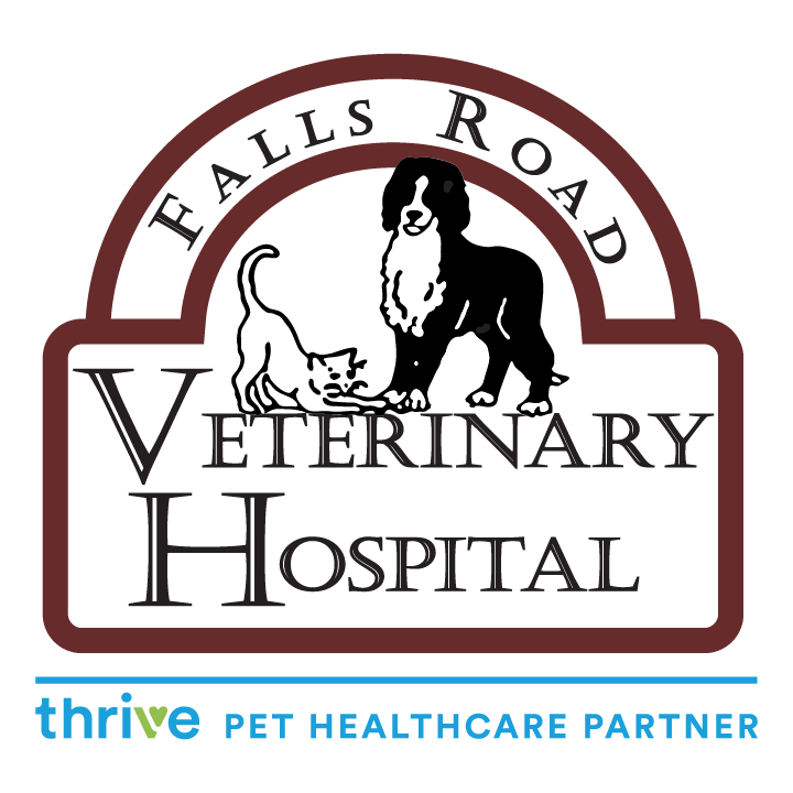 Falls Road Veterinary Hospital | Thrive Pet Healthcare