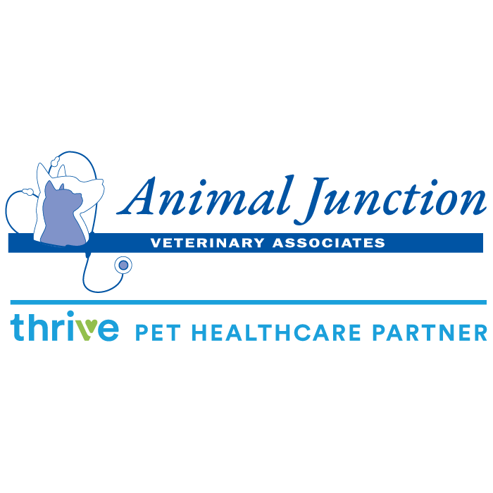 Animal Junction Veterinary Clinic | Thrive Pet Healthcare