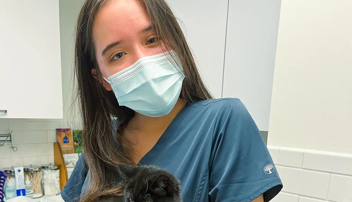 Lessons from an Extern: 5 Things I Learned Shadowing a Vet Clinic