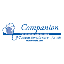 Companion Animal Hospital | Thrive Pet Healthcare