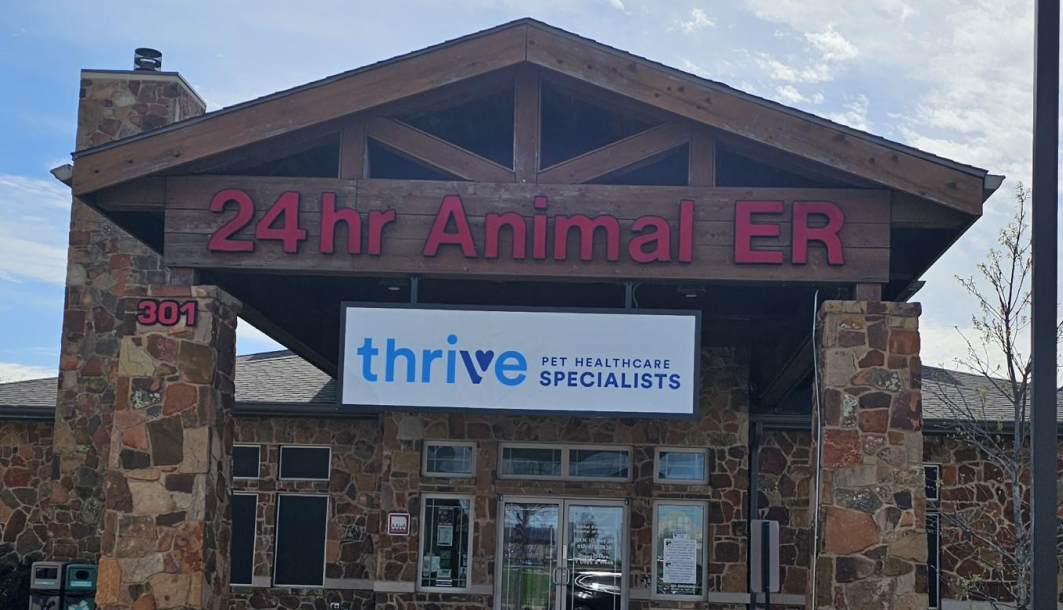 Dallas-Fort Worth Area Pets Can Now Get Emergency and Cancer Care Under ...