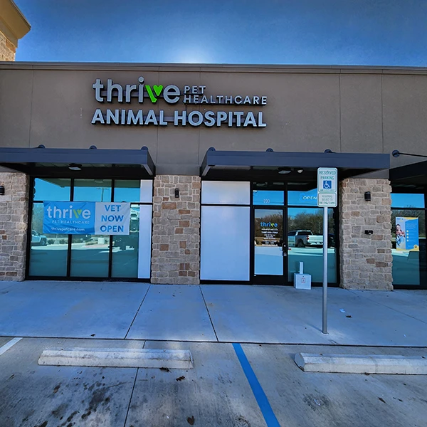 Veterinarian Wylie TX | Thrive Pet Healthcare