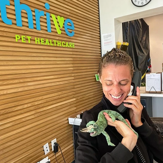 Urgent Care Vet Torrance CA | Thrive Pet Healthcare
