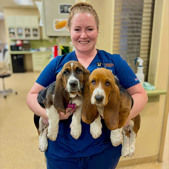 South Riding Vet Care & Grooming | Dulles South Veterinary Center