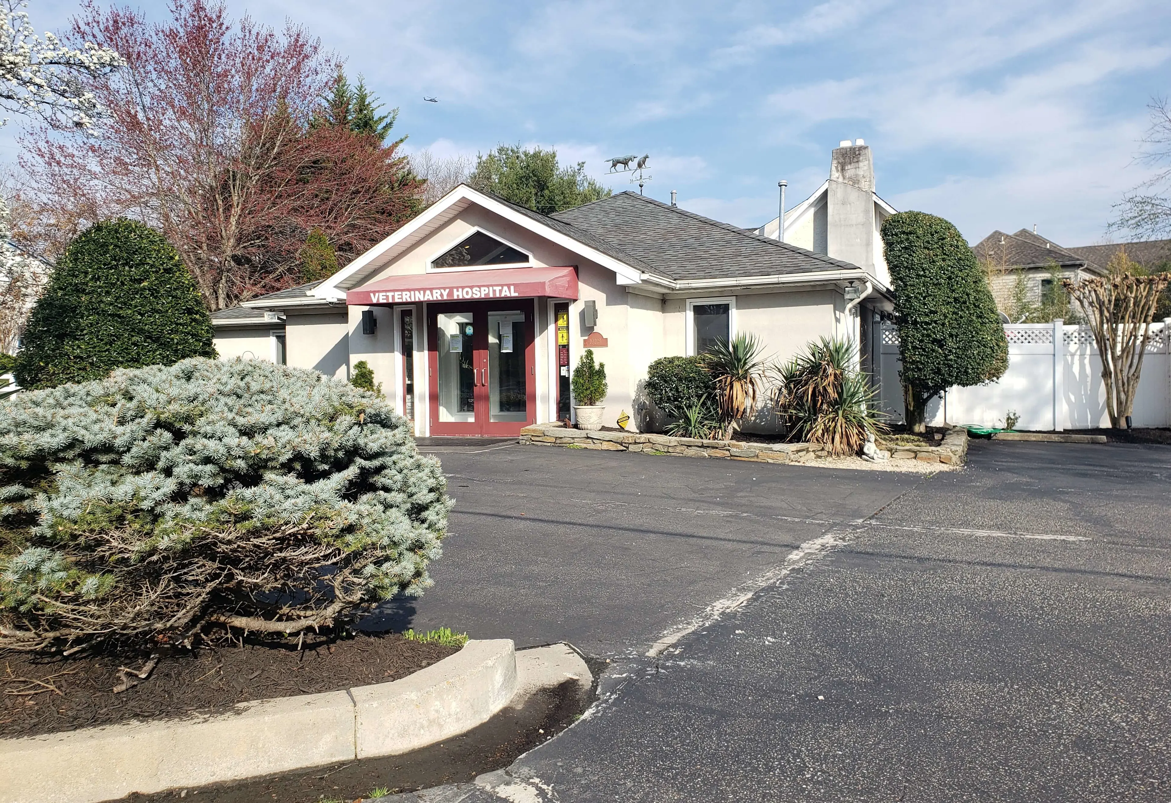 Falls Road Veterinary Hospital | Thrive Pet Healthcare