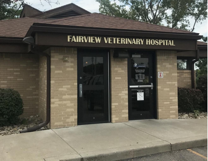 Fairview Veterinary Hospital | Thrive Pet Healthcare