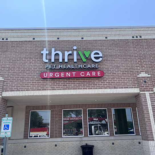 Round Rock Vet Care for Dogs & Cats | Thrive Pet Healthcare