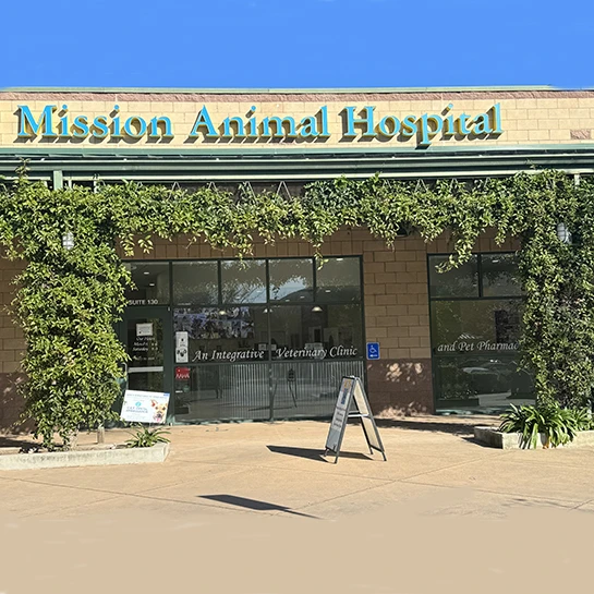 Mission Animal Hospital | Thrive Pet Healthcare