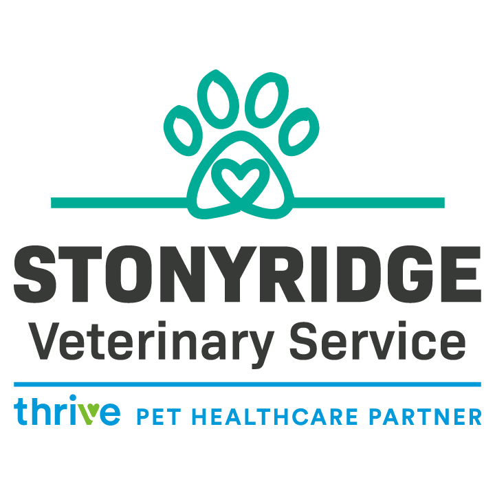 Stonyridge Veterinary Service | Veterinary Care in Ohio